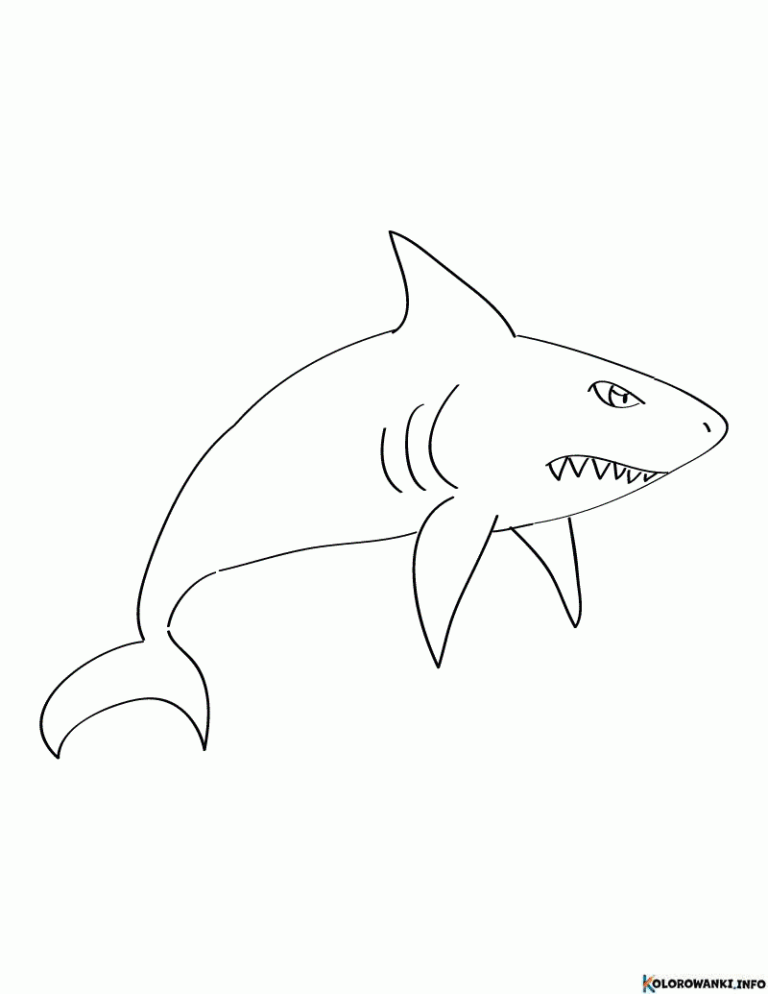 Kolorowanki Rekiny do druku | Pobierz lub wydrukuj za darmo ...